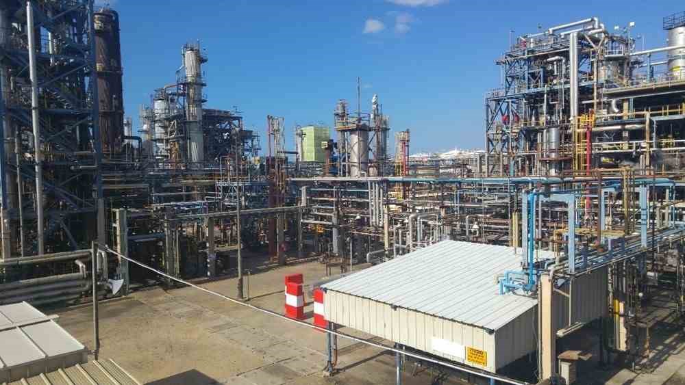 Understanding Oleochemical Process Plant Production | Phoenix